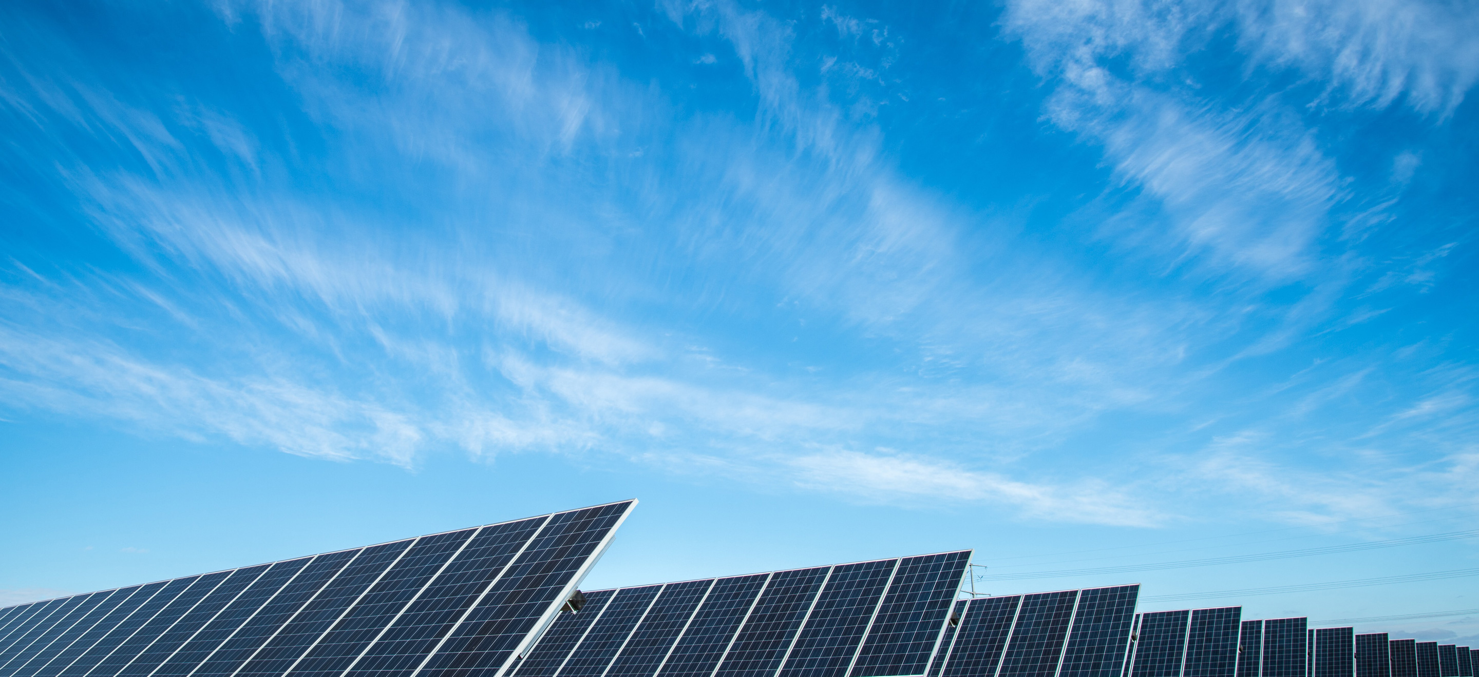 REA Comments on National Grid ESO’s Future Energy Scenarios